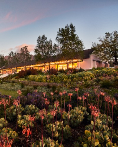 Ernie Els Wine - Stellenbosch